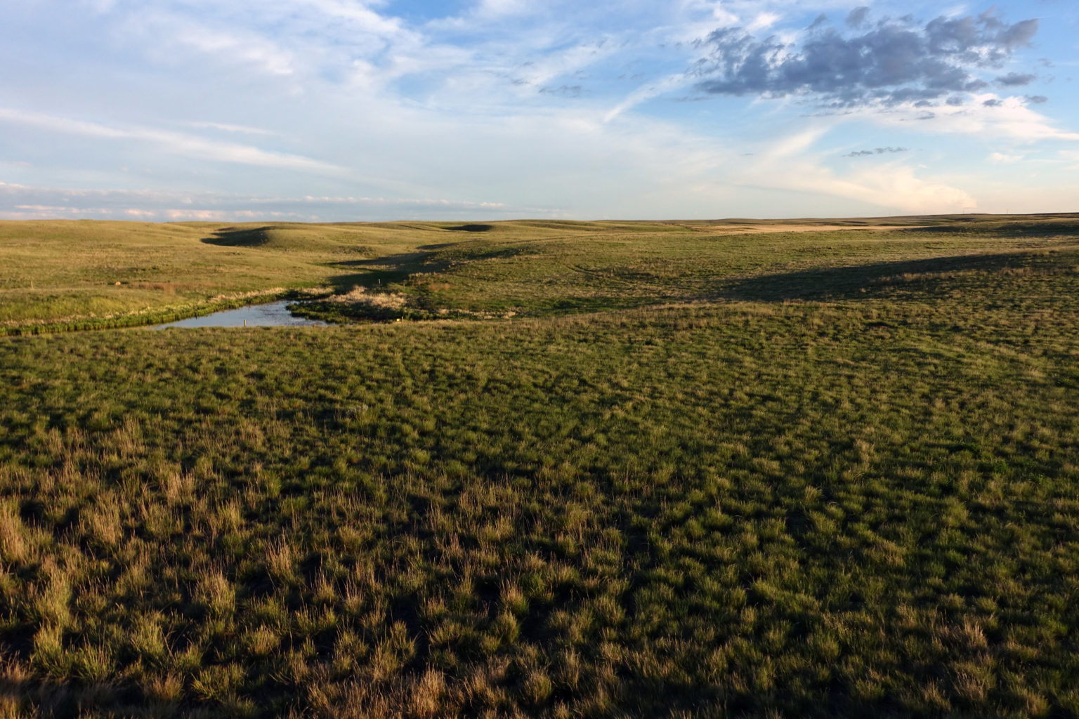 Prairies Grasslands - National Trust for Canada